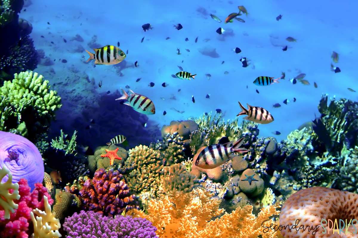 Coral Reefs and Human Impact PBL for Middle School - Secondary Sparks
