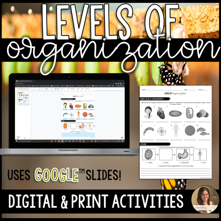 Levels of Organization Digital Google Slides™ and Print Activities ...