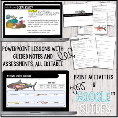 Marine Science Year Long Curriculum Bundle - Editable Lessons ...