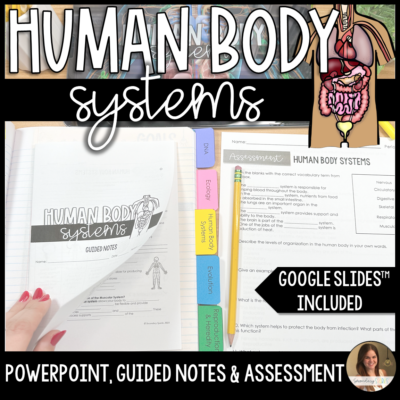 Human Body Systems Lesson Guided Notes and Assessment - Secondary Sparks