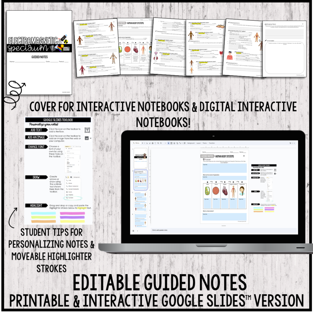 Human Body Systems Lesson Guided Notes and Assessment - Secondary Sparks