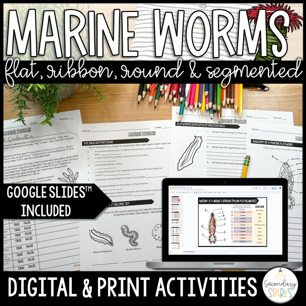 Marine Worms Activities Google Slides™ and Print - Marine Science ...