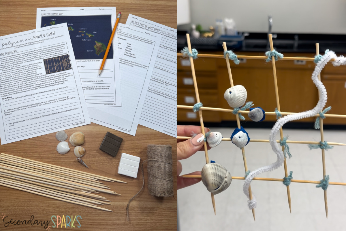 Activities For the End of the Year in Your Marine Science Class ...