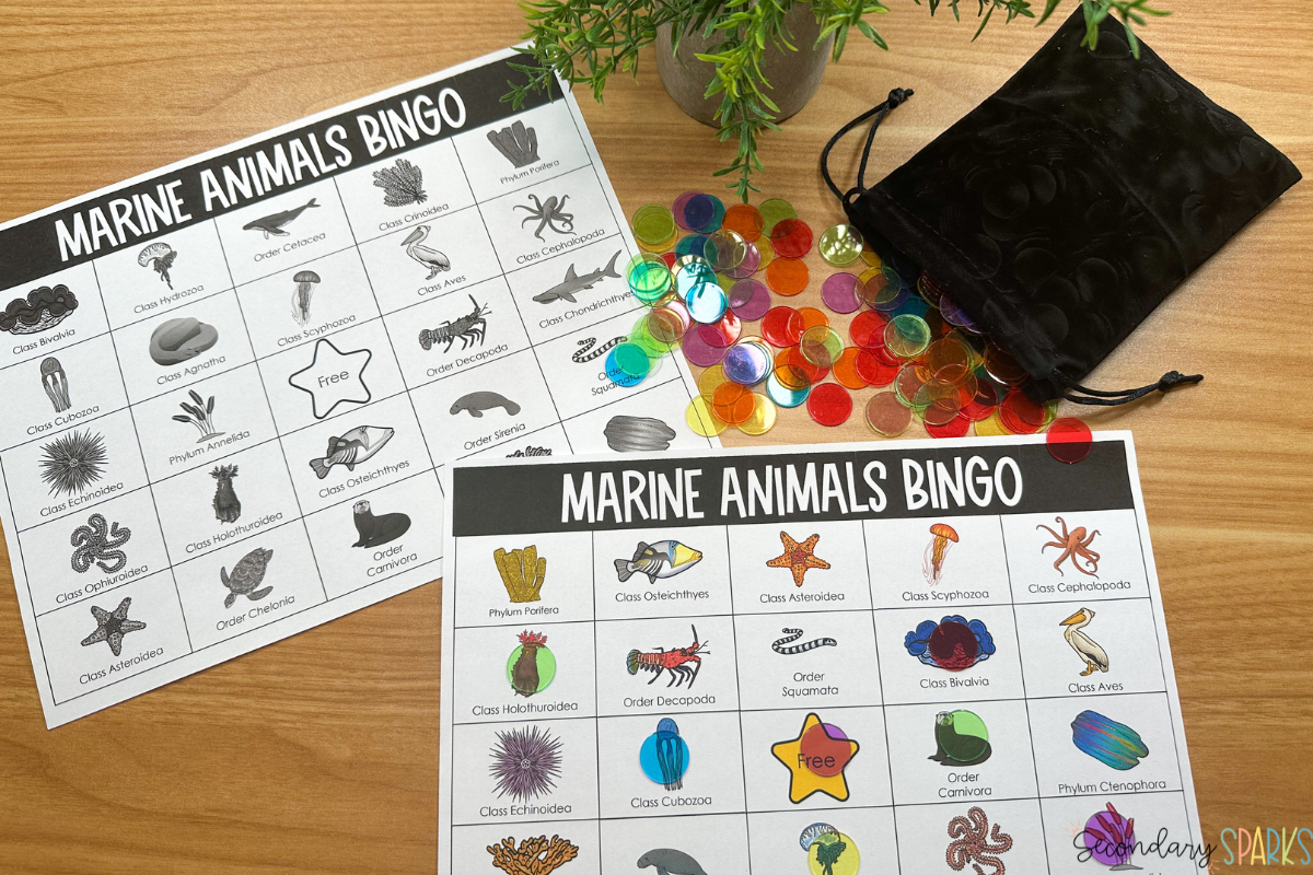 Marine Vertebrates Activities for Middle School Science - Secondary Sparks