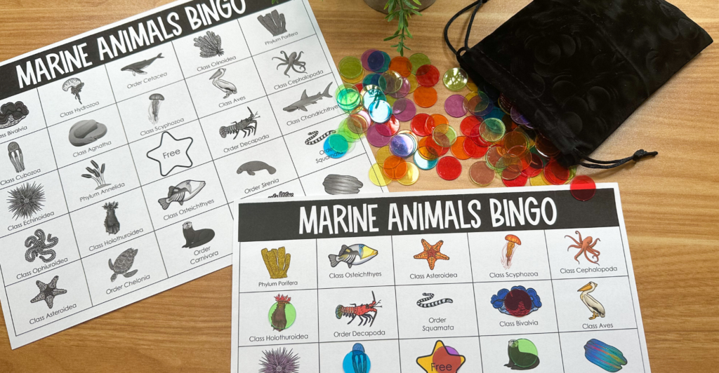 Marine Vertebrates Activities for Middle School Science - Secondary Sparks