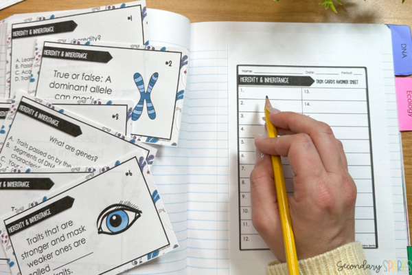 Teaching Genetics Made Easy: 8 Heredity Unit Activities for Middle ...