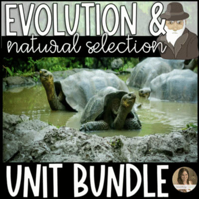 5 Natural Selection Activities Your Middle School Science Students Will ...