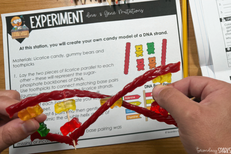 Must Try Genetic Mutations Activities for Your Middle School Classroom ...
