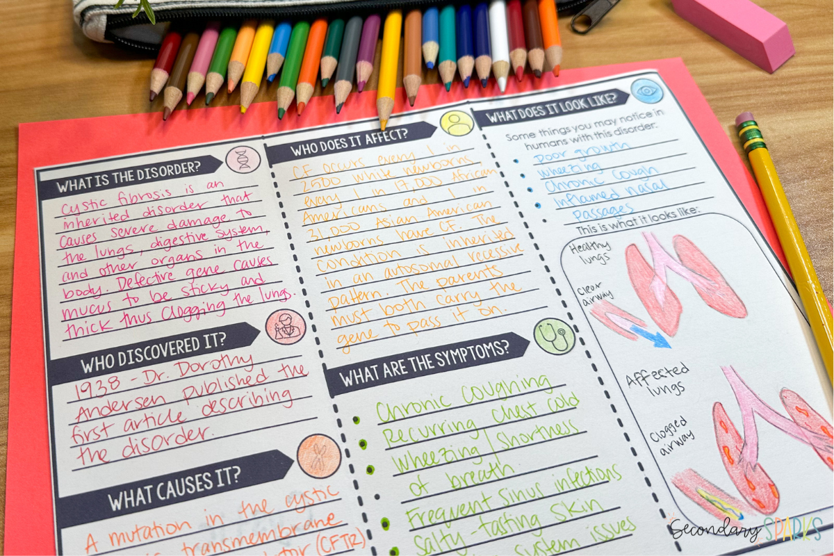Must Try Genetic Mutations Activities for Your Middle School Classroom ...