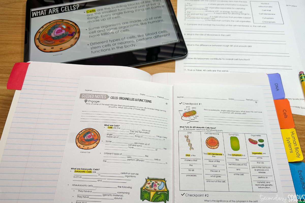 How to Create a Life Science Pacing Guide for a Stress Free School Year ...